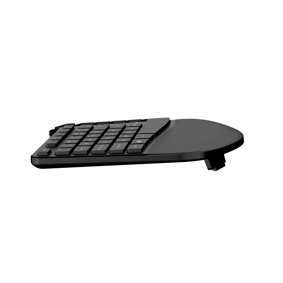 Ergo black store